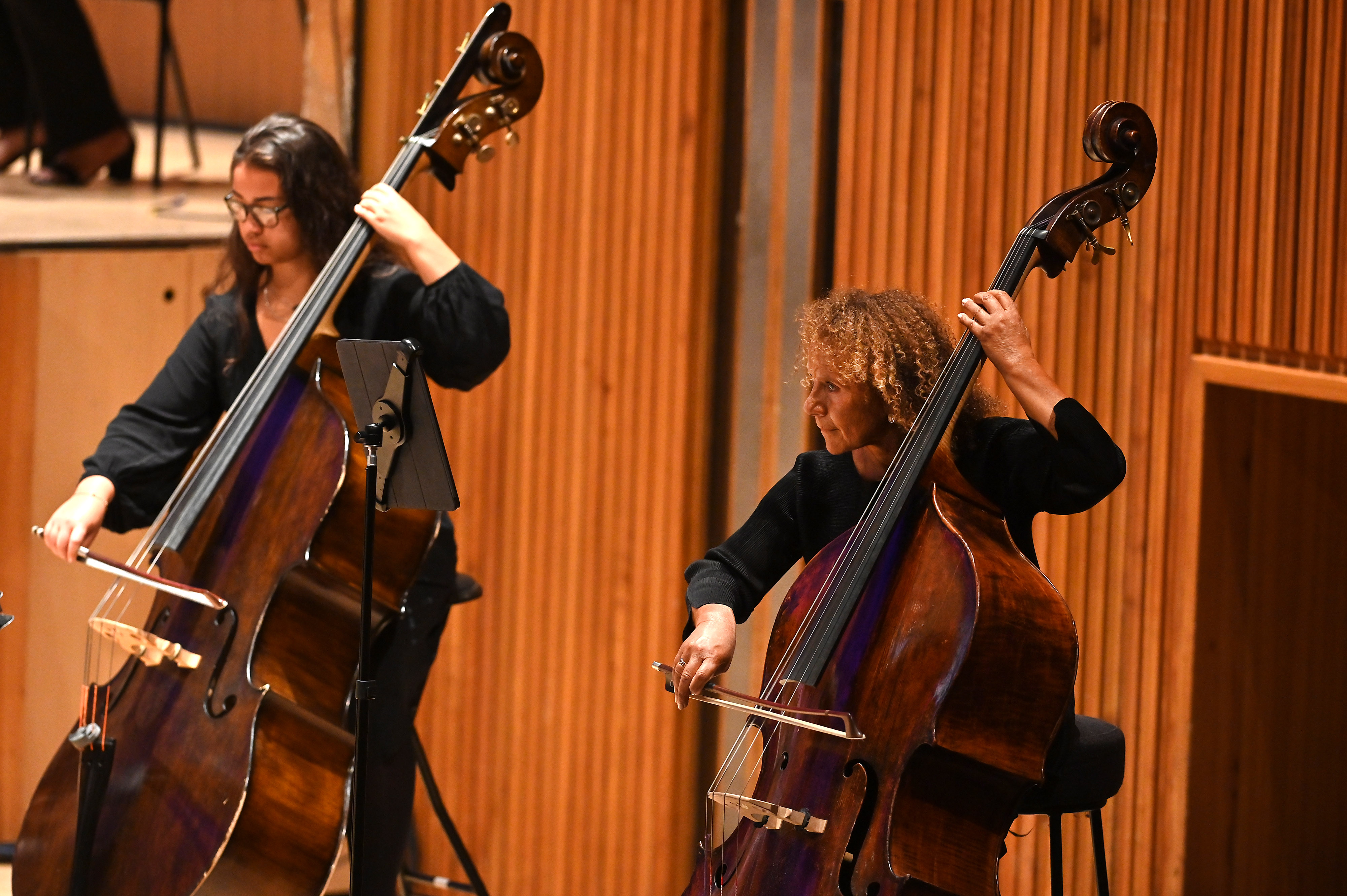 Double Bass Player Orchestra