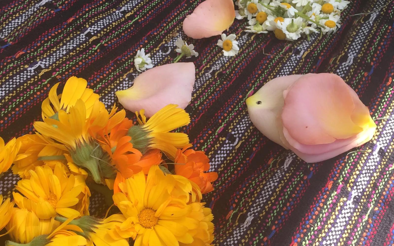 Poetry Workshop: Somatic Rituals for Revision | Southbank Centre