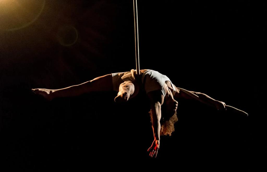 Who is circus company Upswing? | Southbank Centre