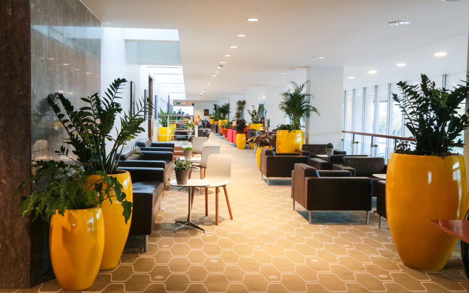 Members’ Lounge | Southbank Centre